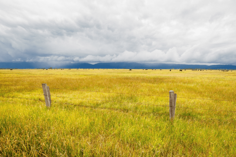 ¿Qué es una Parcela?: Guía para Inversionistas - Rentaoventa - Blog ...